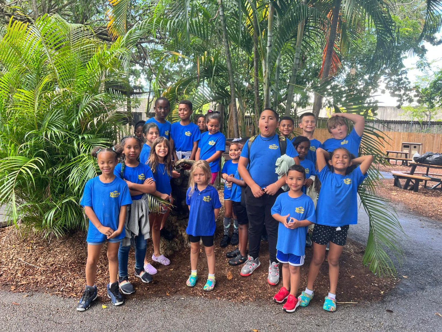 Winter Break Camps, Spring Break Camps, Summer Break Camps at Kingswood ...